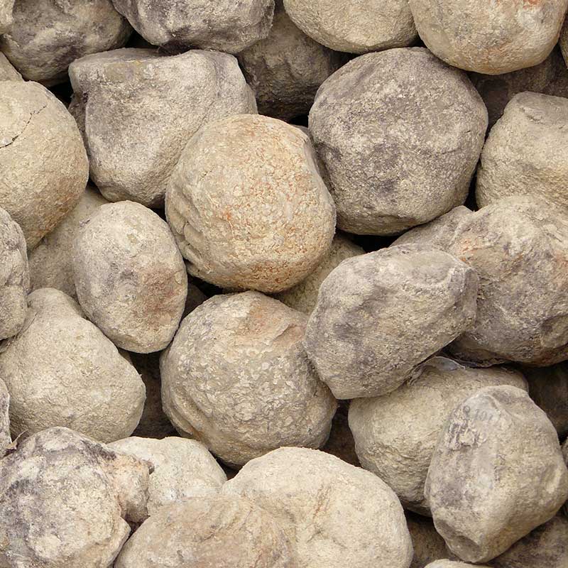 EM Mud Balls - Biome Holistic